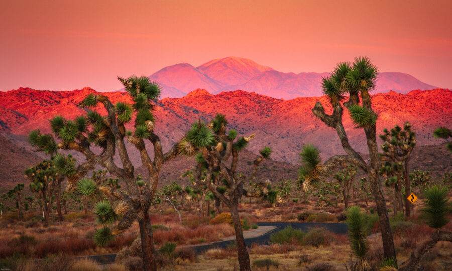 Where to Stay in Joshua Tree National Park: Best Areas